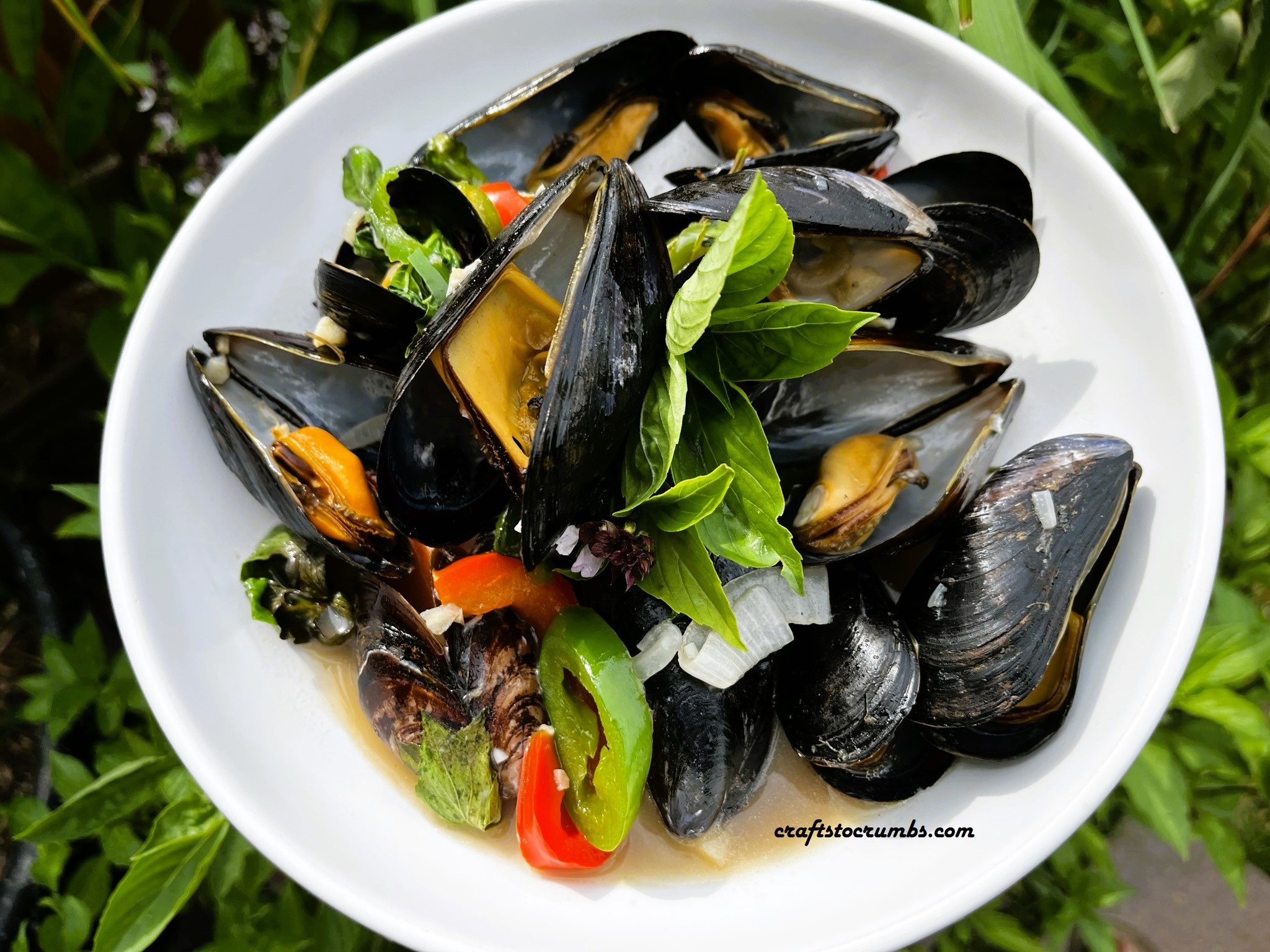 Mussel Basil – Crafts to Crumbs