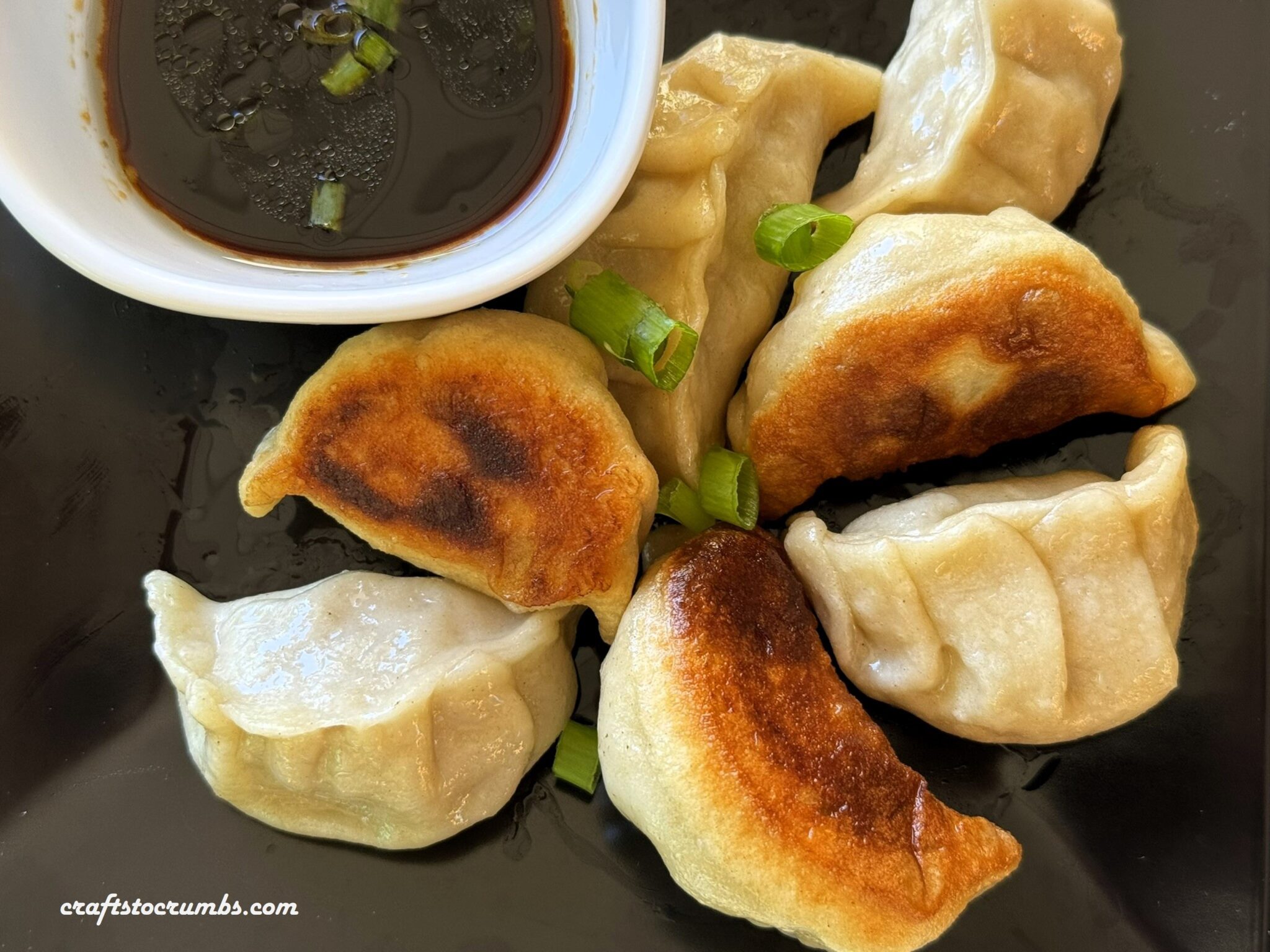 Pan Fried Dumplings – Crafts to Crumbs